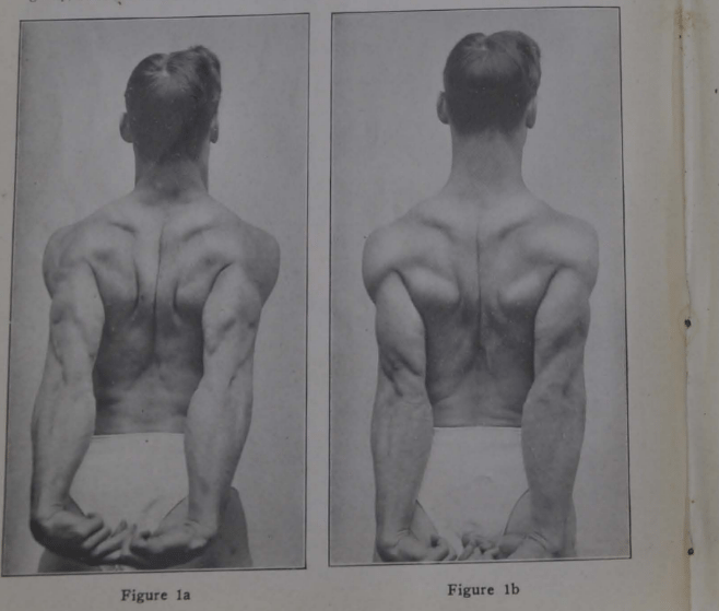 Muscle Control – continued – Strength Magazine – September, 1916 ...