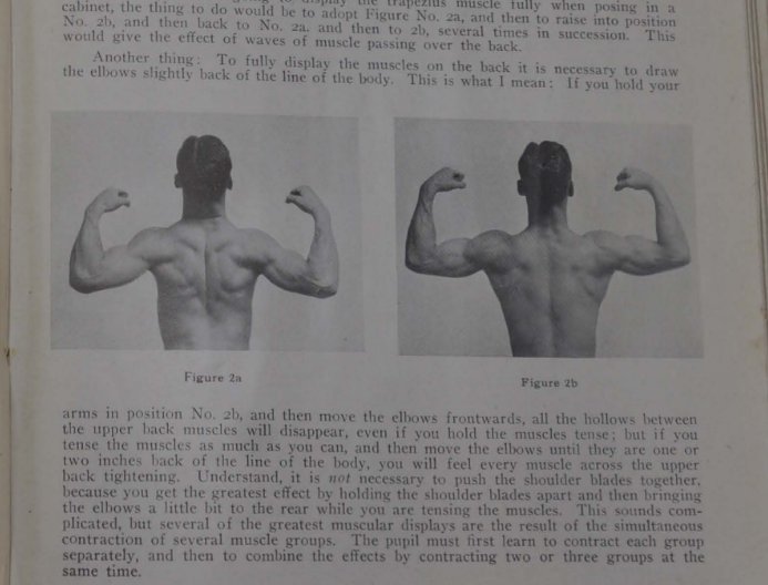 The Trapezius Muscles – Strength Magazine – July, 1916 | Rogue Fitness ...