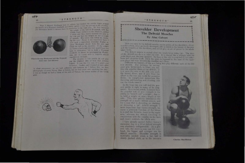 Shoulder Development: The Deltoid Muscles | Rogue Fitness Canada